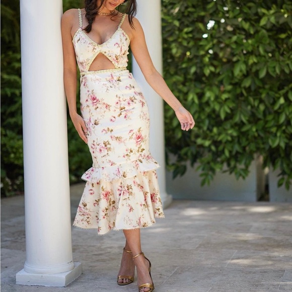 V. Chapman | Dresses | V Chapman Luna Dress In English Rose Size 4 ...